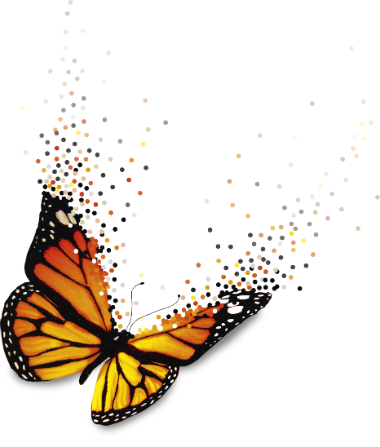 Total Marketing Support - DS Smith