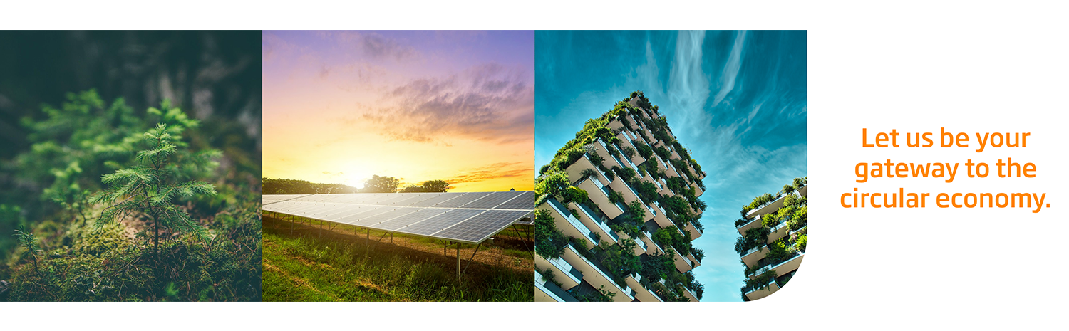 Circular Design in Packaging - DS Smith Packaging